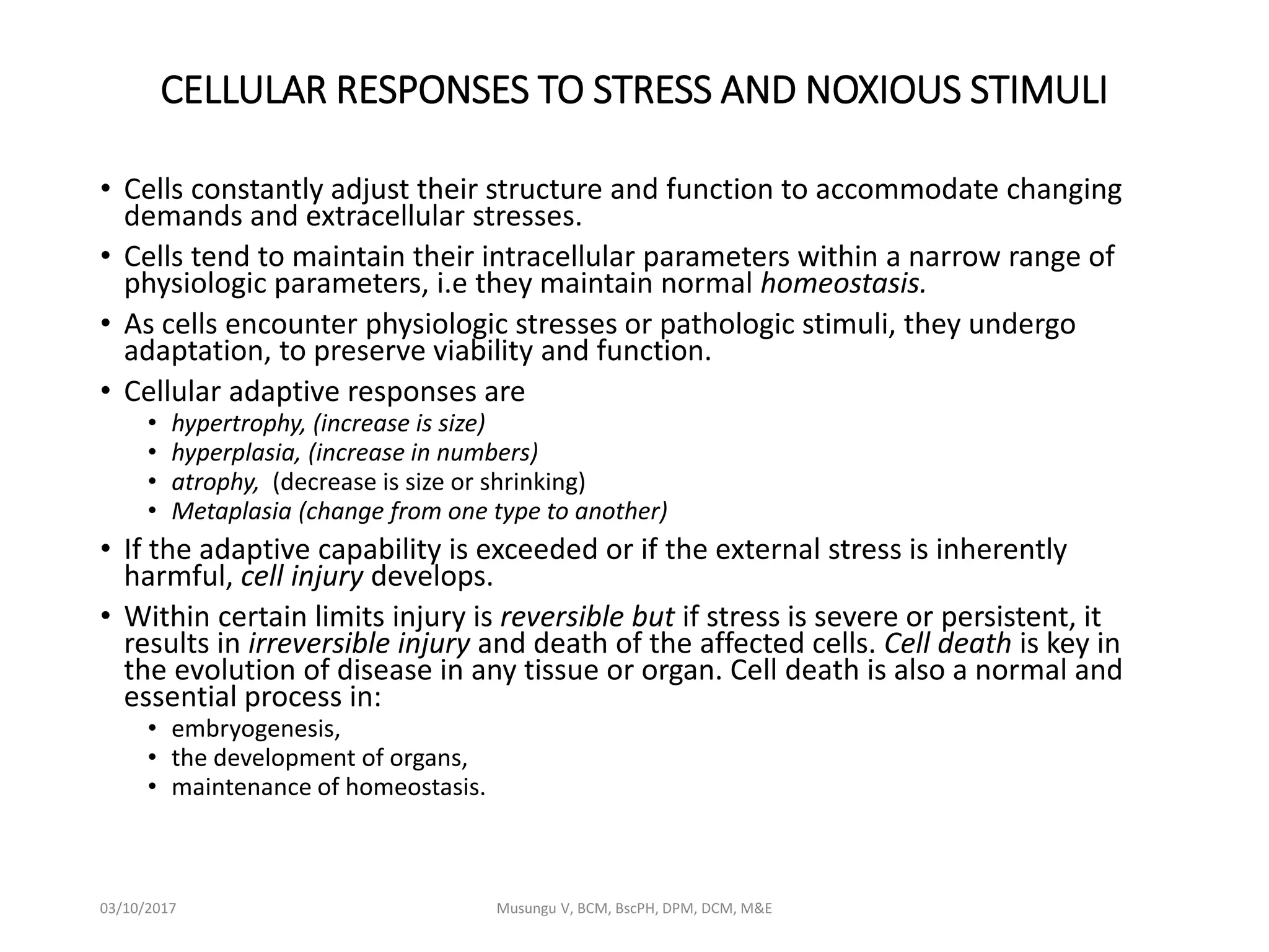 General pathology lecture | PPTX