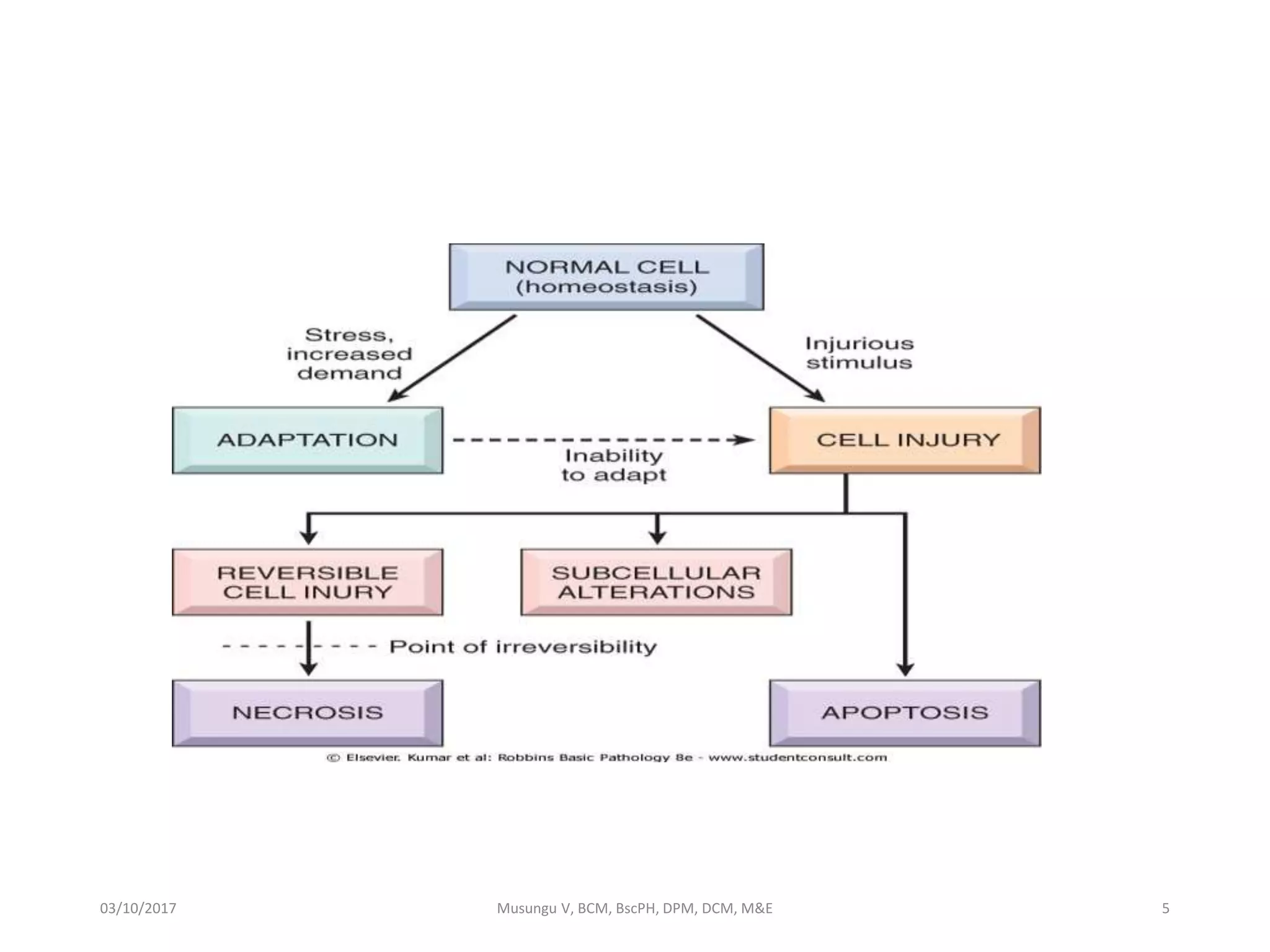 General pathology lecture | PPTX | Heart and Cardiovascular Diseases ...