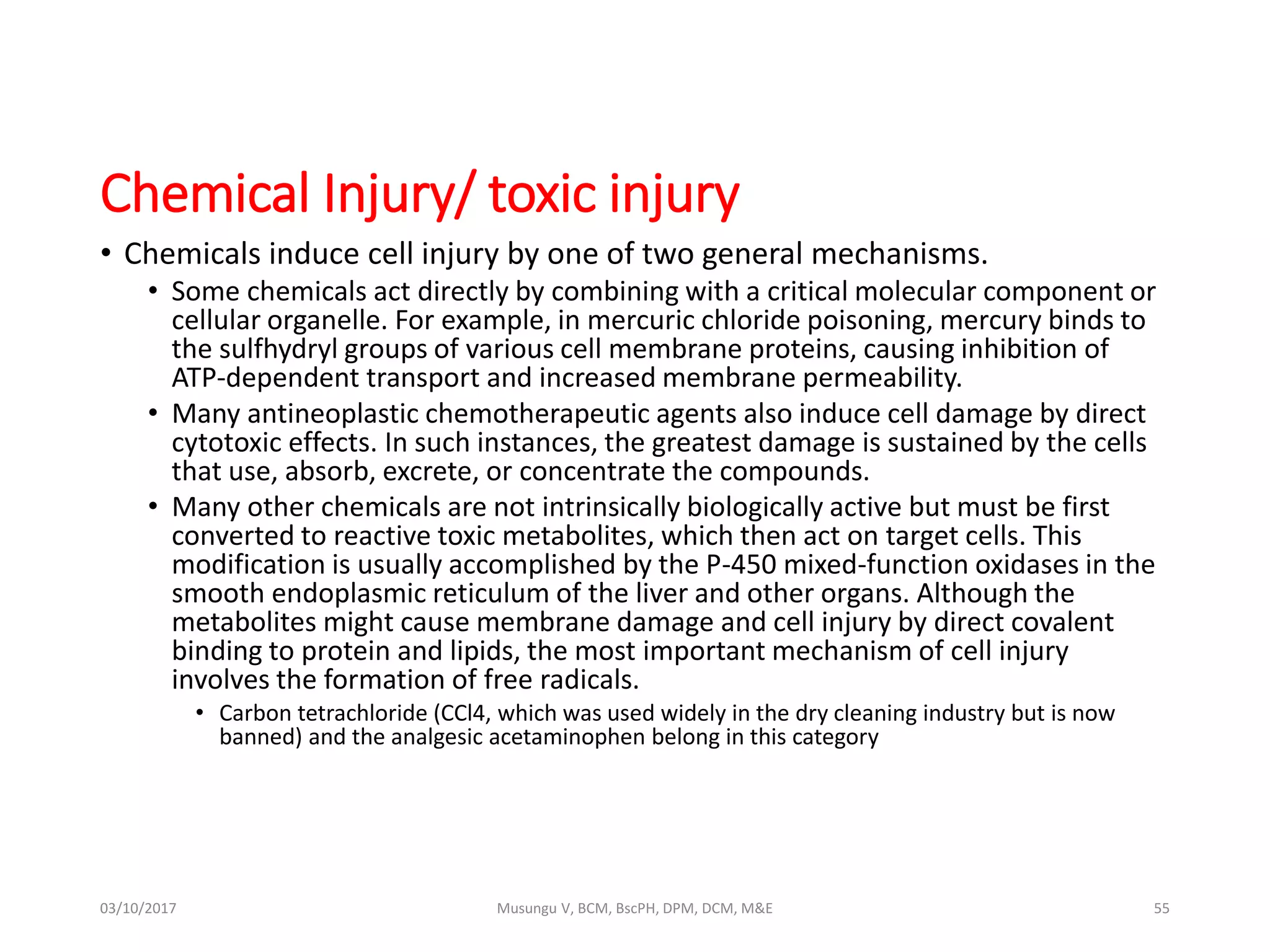 General pathology lecture | PPTX