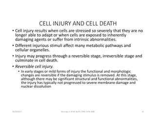 General pathology lecture | PPTX
