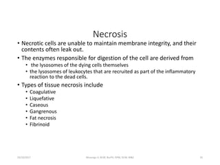 General pathology lecture | PPTX