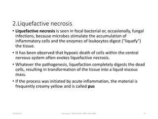 General pathology lecture | PPTX