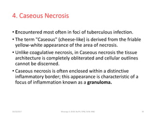 General pathology lecture | PPTX