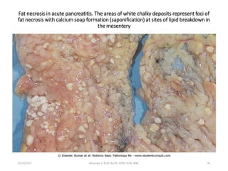 General pathology lecture | PPTX