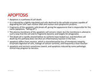 General pathology lecture | PPTX