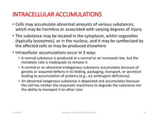 General pathology lecture | PPTX