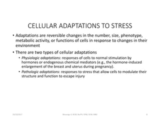 General pathology lecture | PPTX