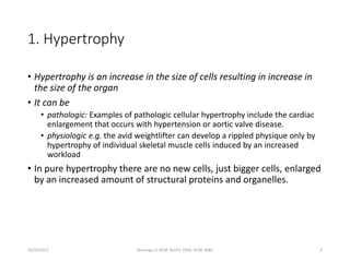 General pathology lecture | PPTX