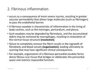 General pathology lecture | PPTX