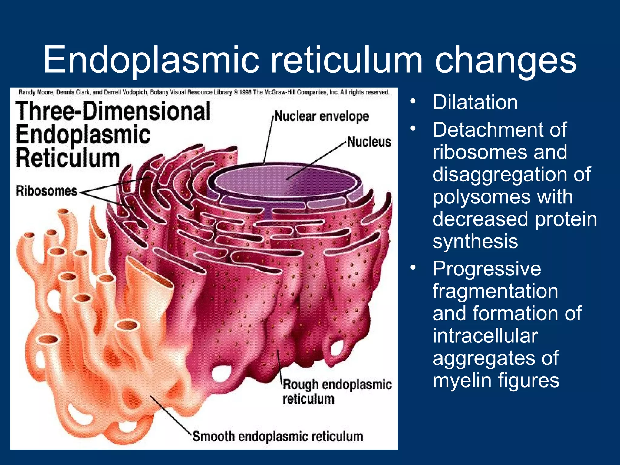 General pathology lecture 1 introduction & cell injury | PPT