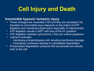 General pathology lecture 1 introduction & cell injury | PPT