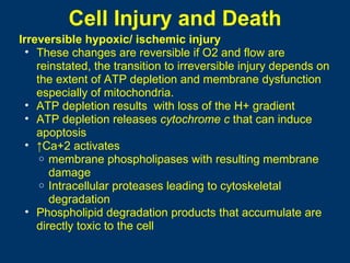 General pathology lecture 1 introduction & cell injury | PPT