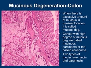 General pathology lecture 1 introduction & cell injury | PPT
