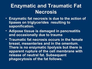 General pathology lecture 3 cell death or necrosis | PPT