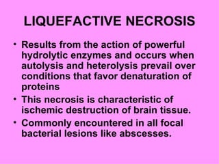 General pathology lecture 3 cell death or necrosis | PPT