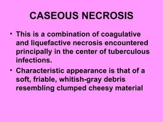 General pathology lecture 3 cell death or necrosis | PPT