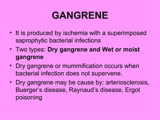 General pathology lecture 3 cell death or necrosis | PPT