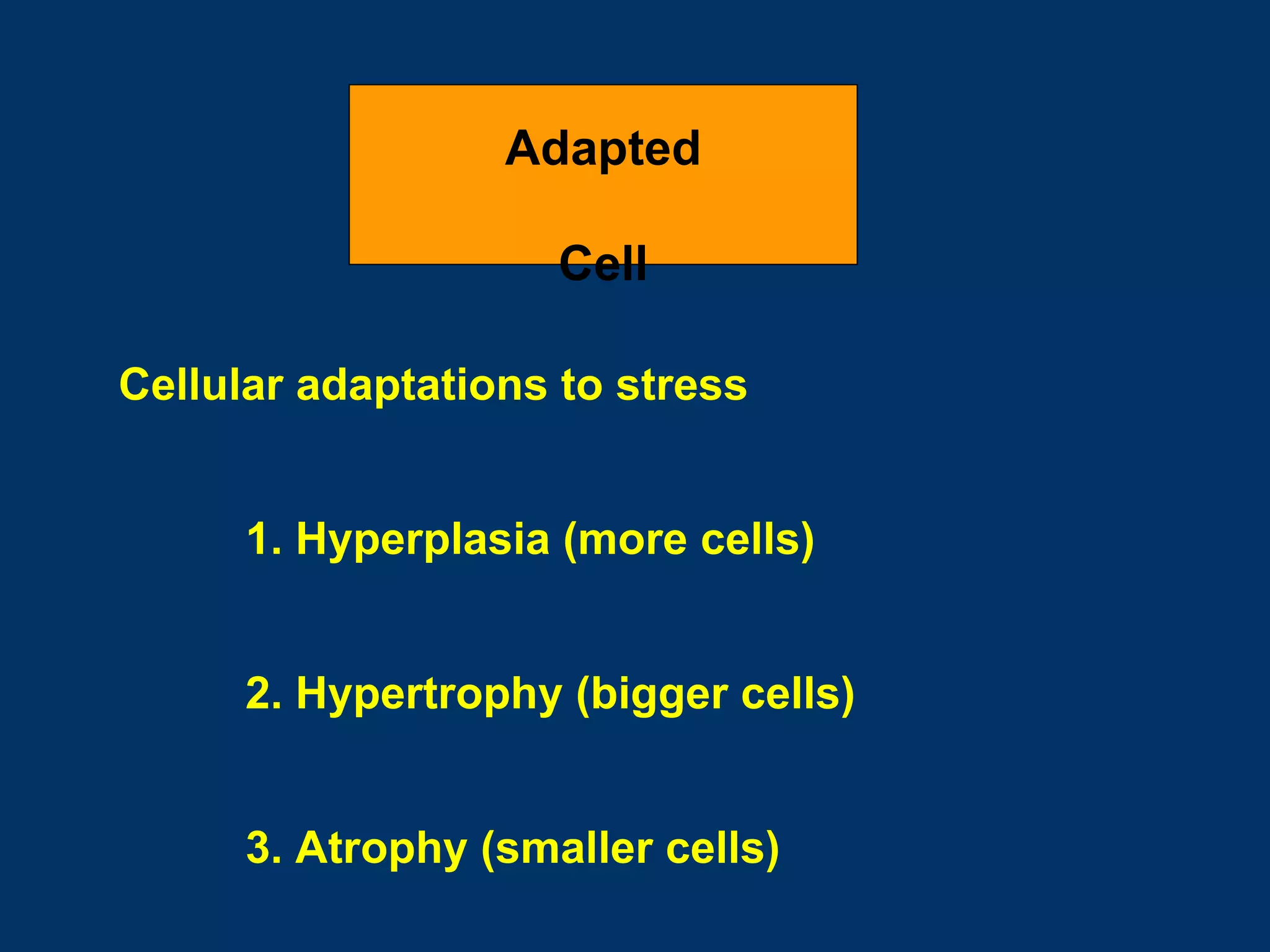 General pathology lecture 4 cellular adaptation | PPT