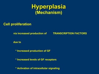 General pathology lecture 4 cellular adaptation | PPT