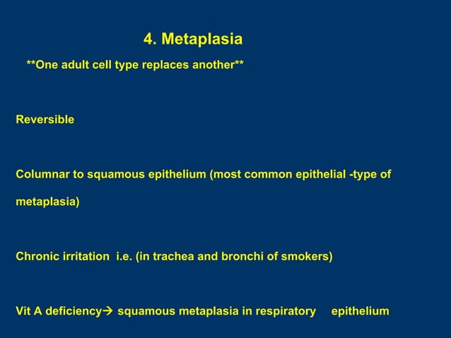 General pathology lecture 4 cellular adaptation | PPT | Endocrine and Metabolic Diseases ...
