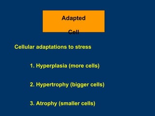 General pathology lecture 4 cellular adaptation | PPT