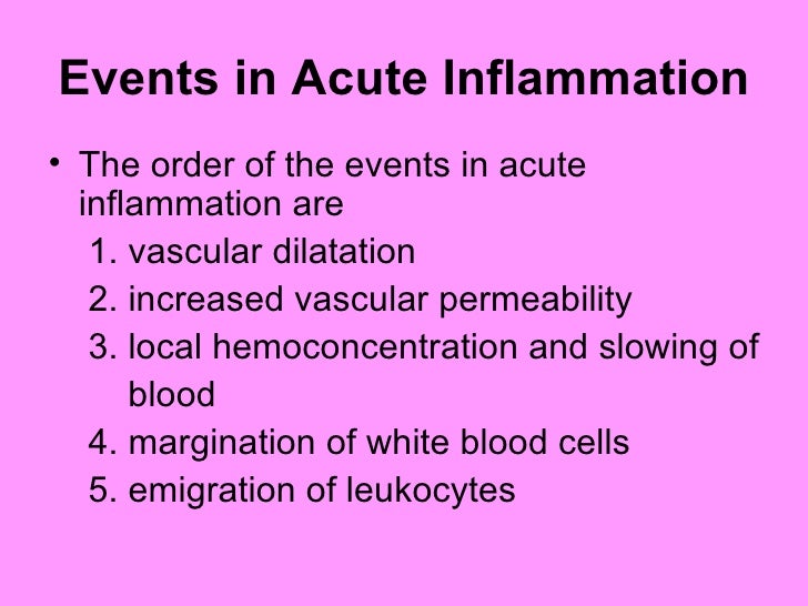 What Are Vascular Events Of Acute Inflammation at Pauline Dane blog