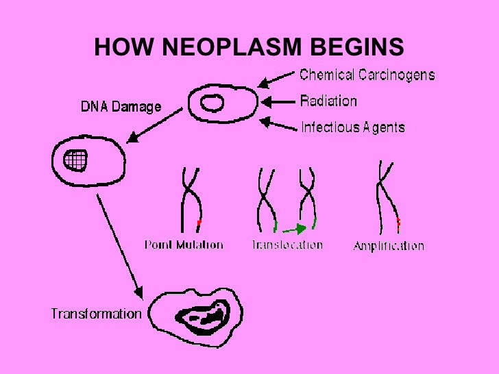 General pathology lecture 7 neoplasms