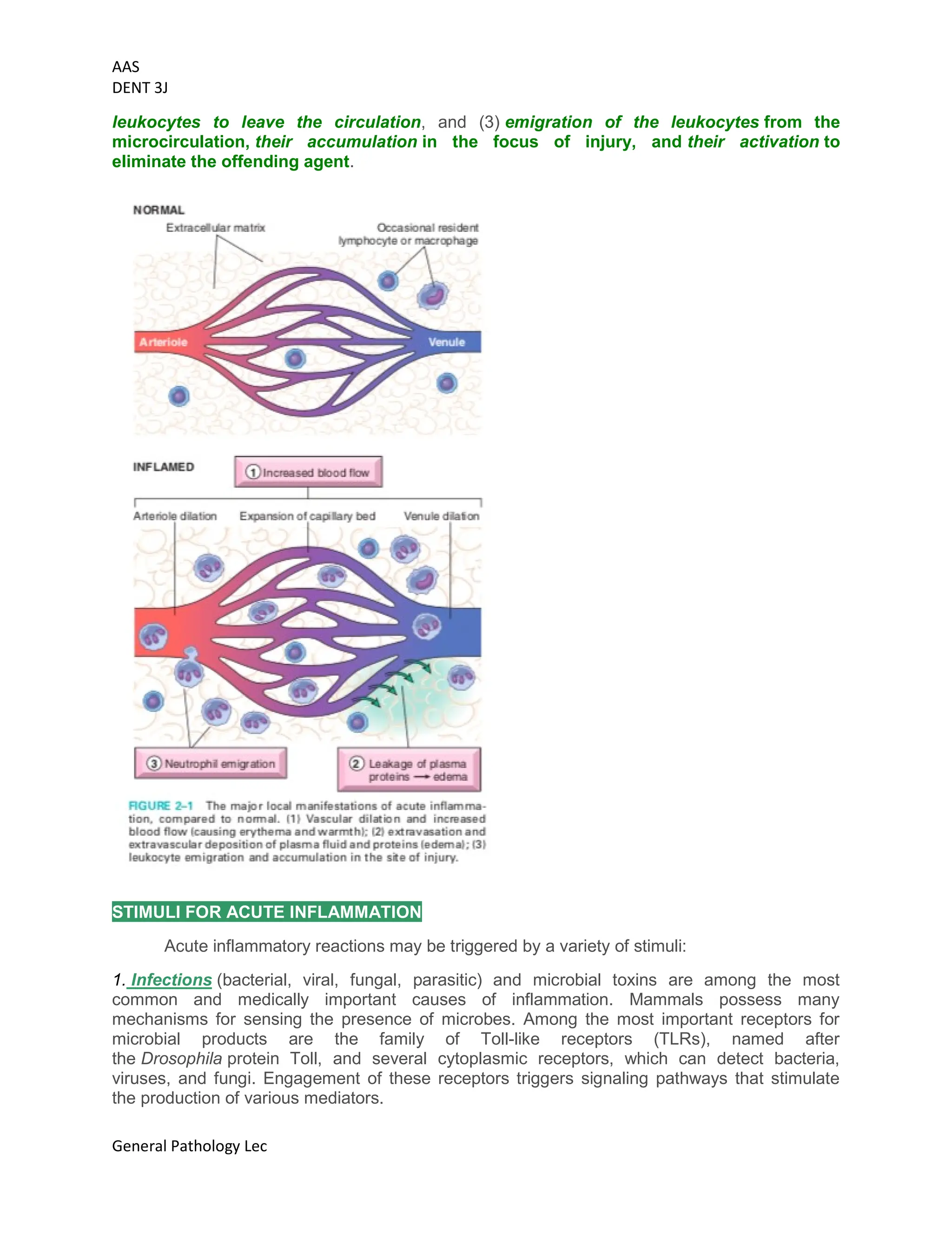 General Pathology Lecture Introduction from Module 1 to Module 3 | PDF