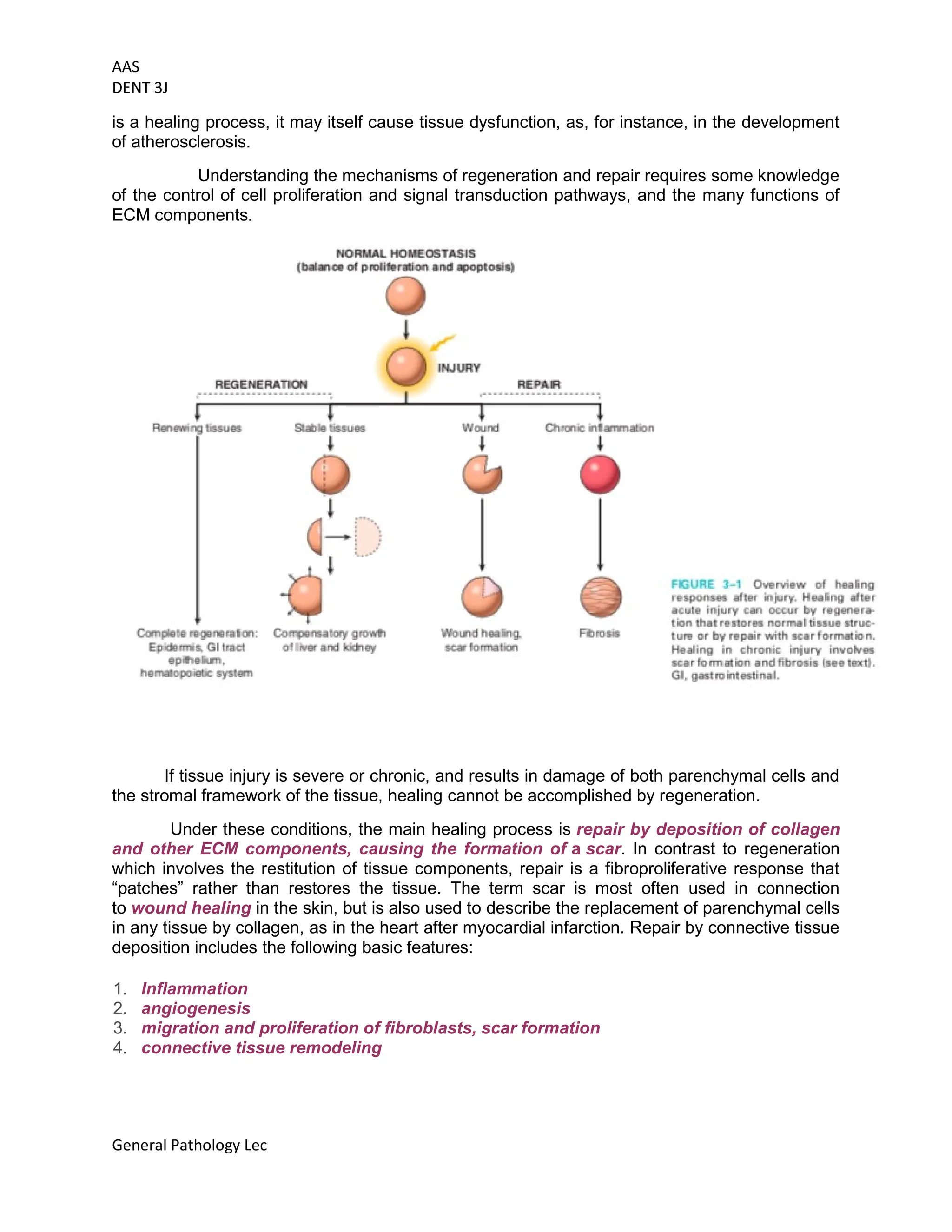 General Pathology Lecture Introduction from Module 1 to Module 3 | PDF