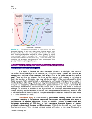 General Pathology Lecture Introduction from Module 1 to Module 3 | PDF