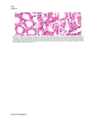 General Pathology Lecture Introduction from Module 1 to Module 3 | PDF