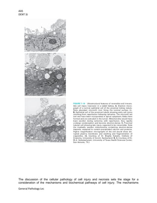 General Pathology Lecture Introduction from Module 1 to Module 3 | PDF