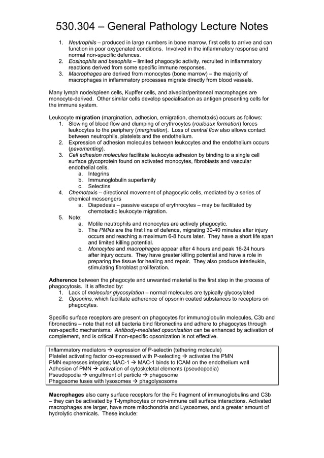 General Pathology Notes.pdf | Diseases and Conditions | Medical Health