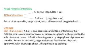 General Pathology of Infections and Acute Bacterial Infections 23_5_23 ...