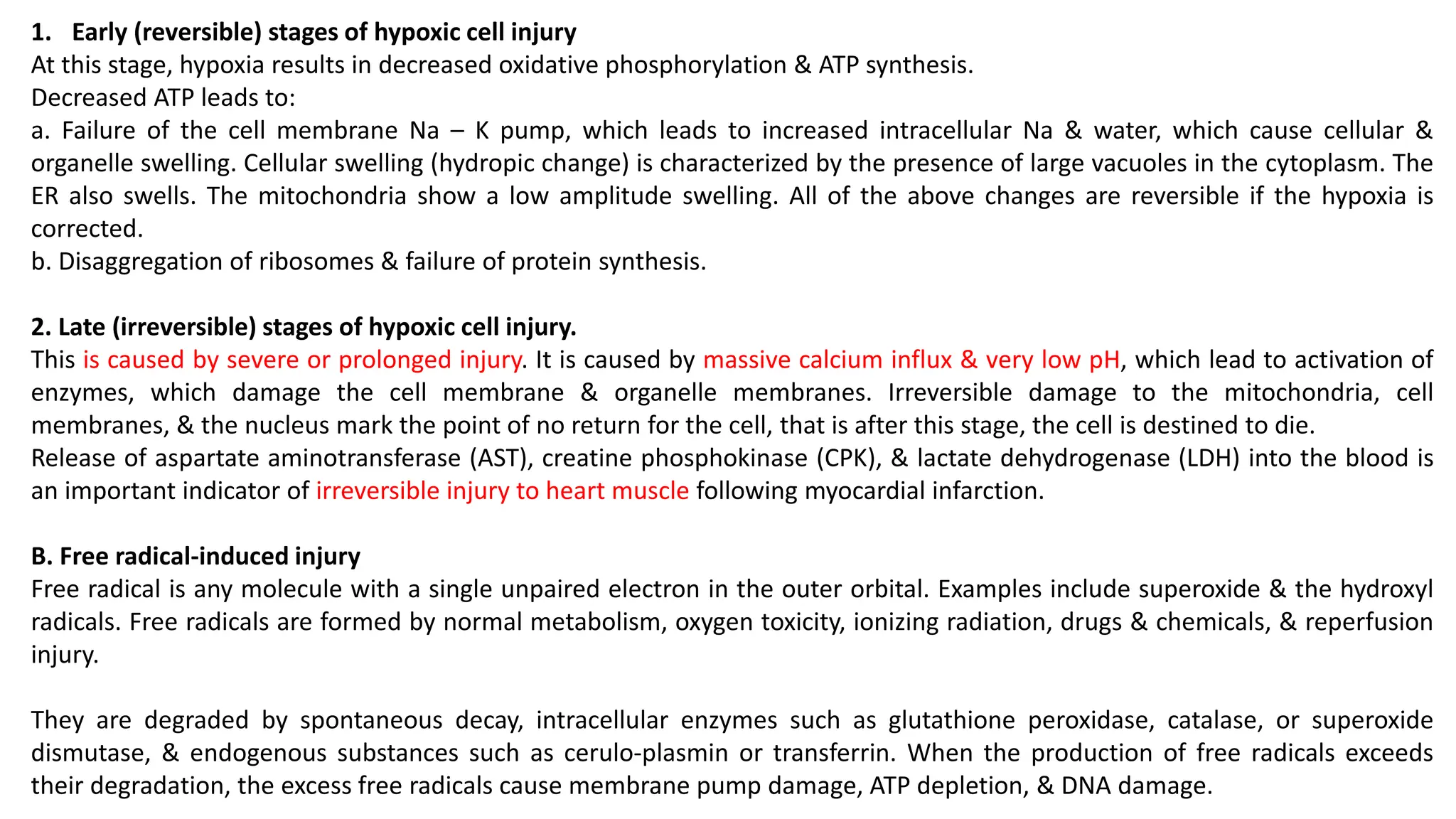General Pathology_SLIDES.ppt............. | PPT