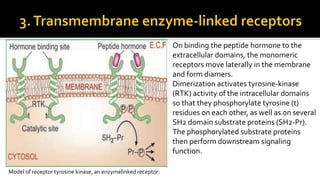 General pharmacology 2.1 pharmacodynamics | PPTX