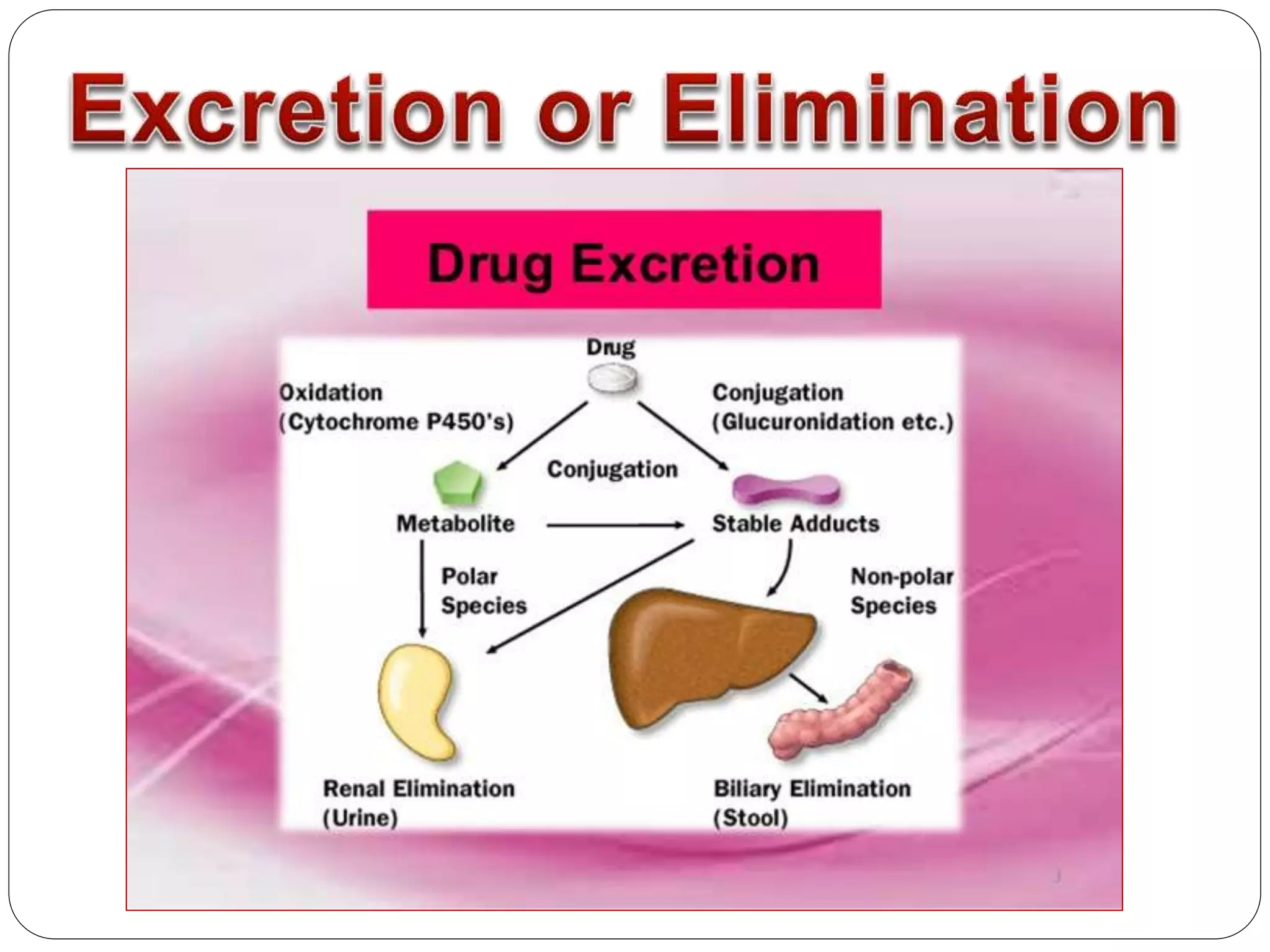 General Pharmacology-ADME | PPTX