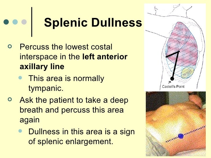 General Physical Assessment
