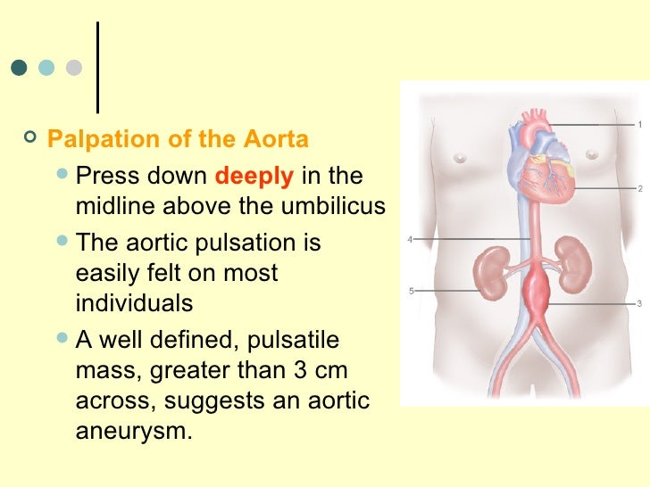 General Physical Assessment