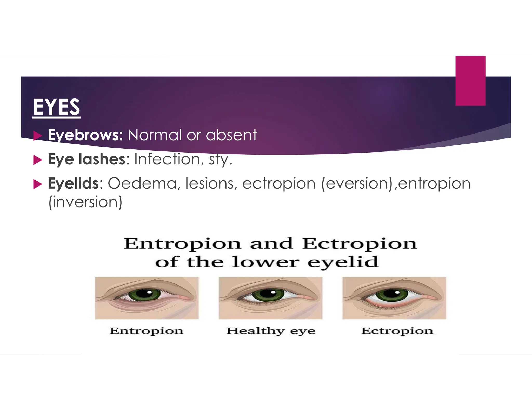 General physical examination-1.Bsc nursing | PDF