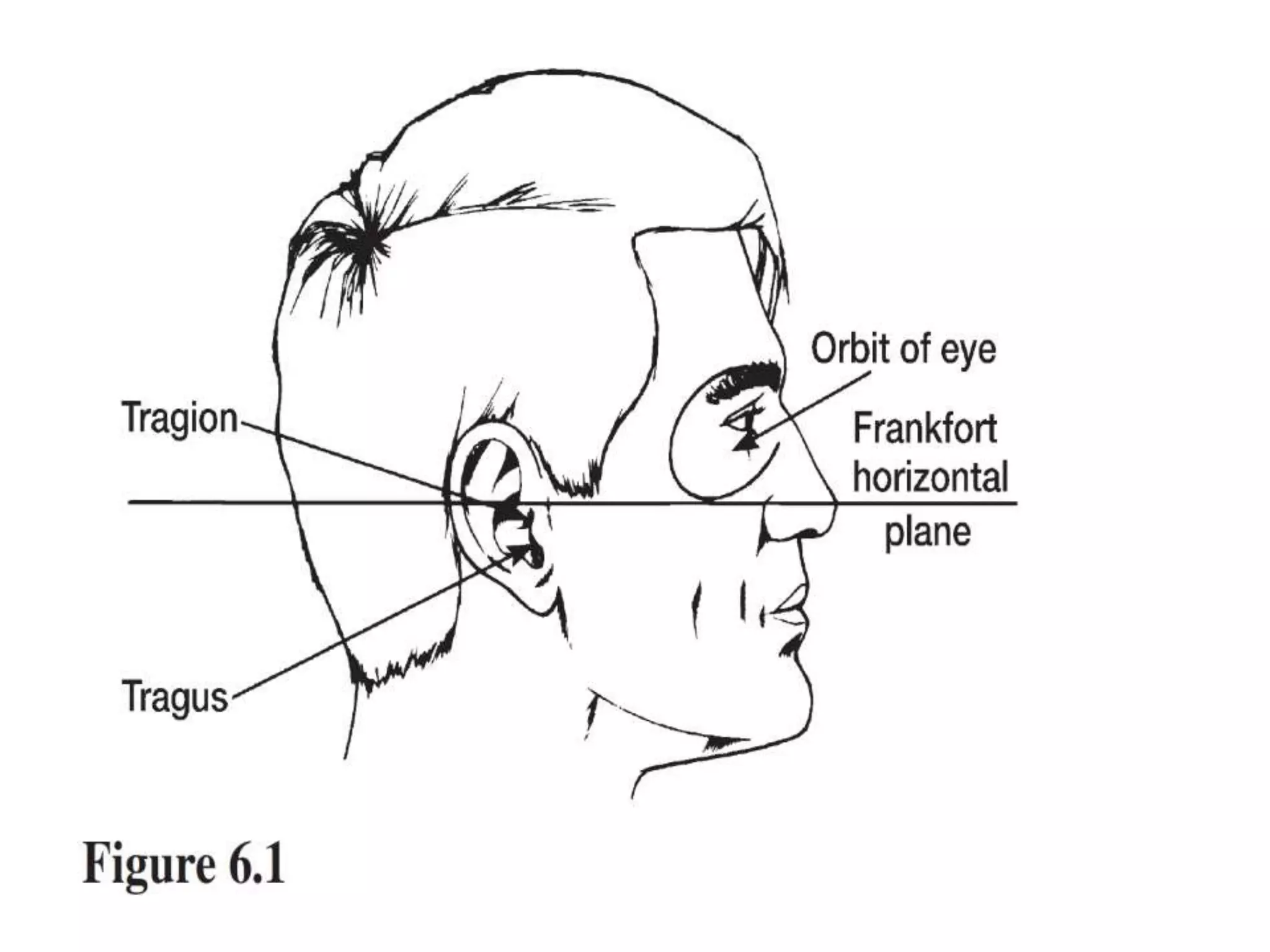 General Physical Examination - Importance in Practice | PPTX