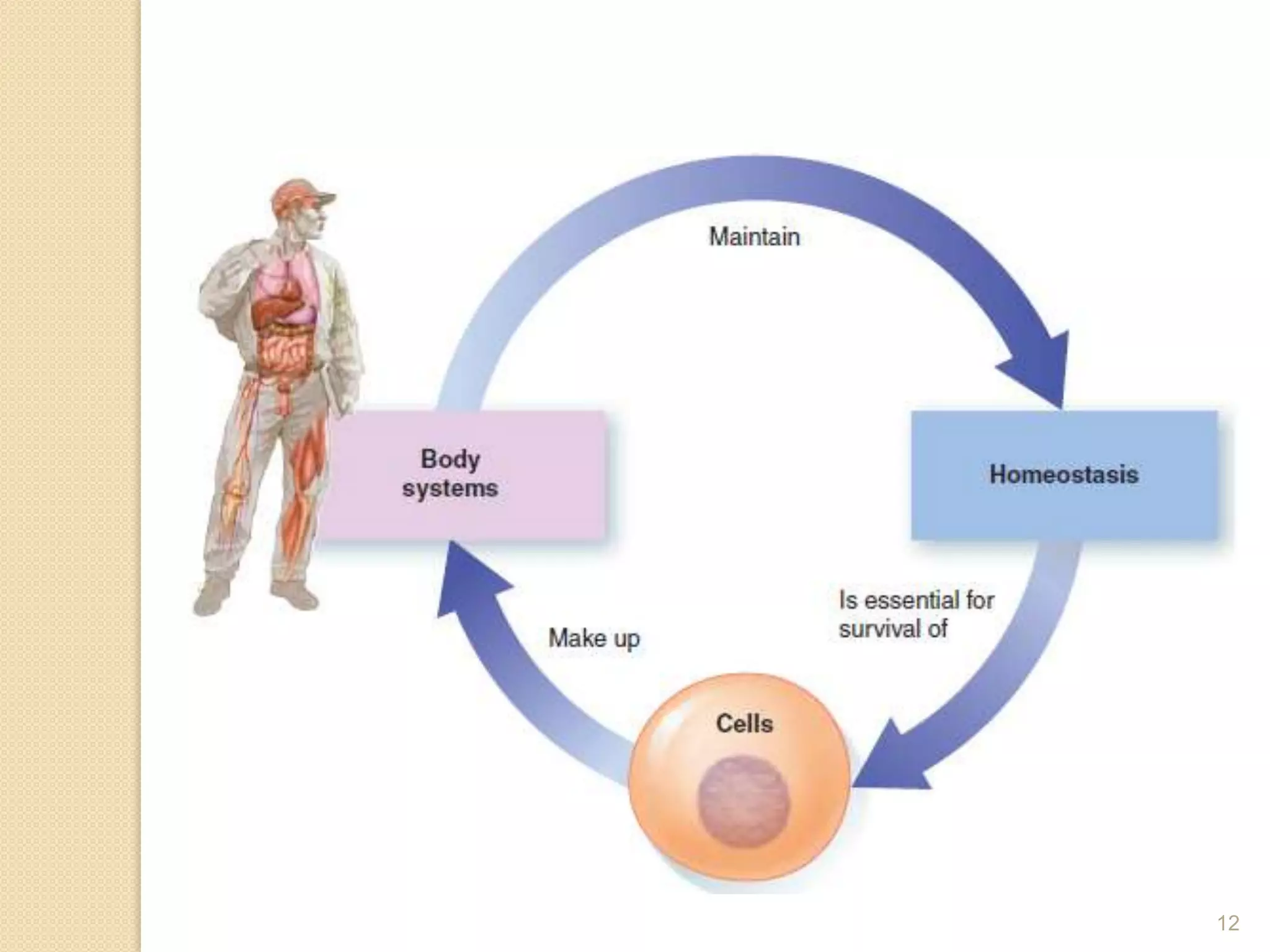 General physiology | PPTX