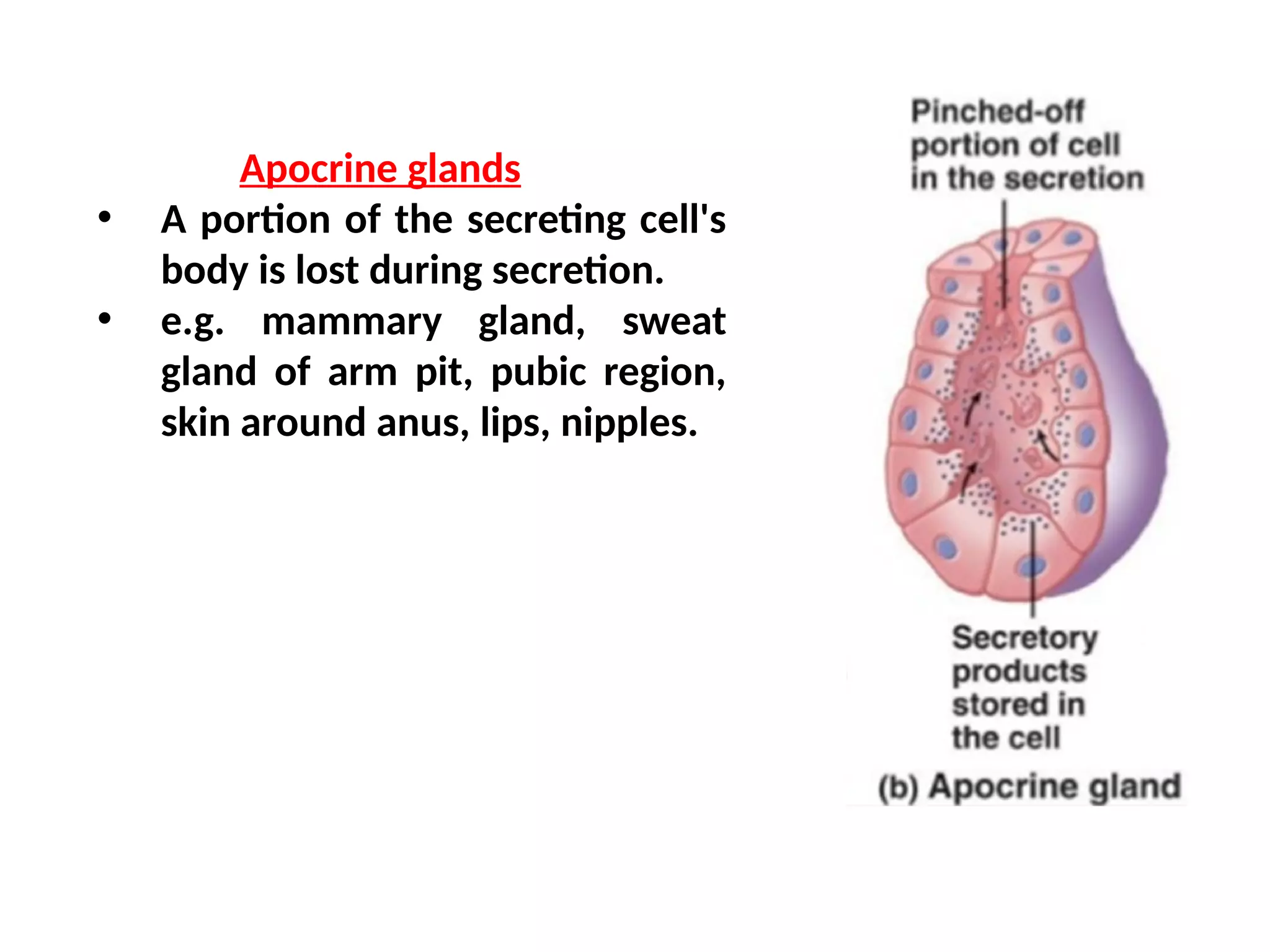general physiology.pdf