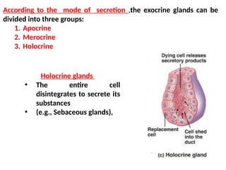 general physiology.pdf