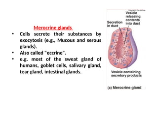 general physiology.pdf