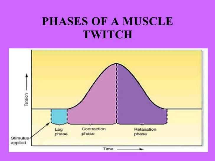 General physiology lecture 3