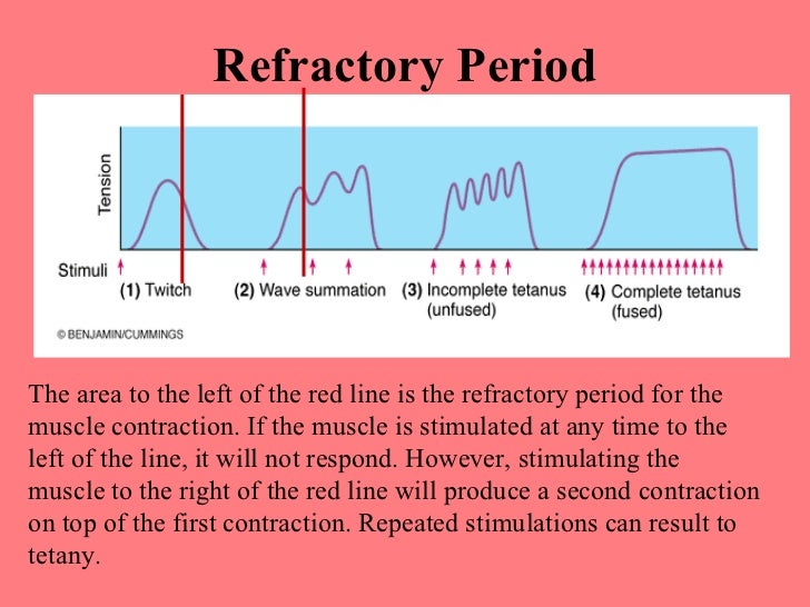 General physiology lecture 3
