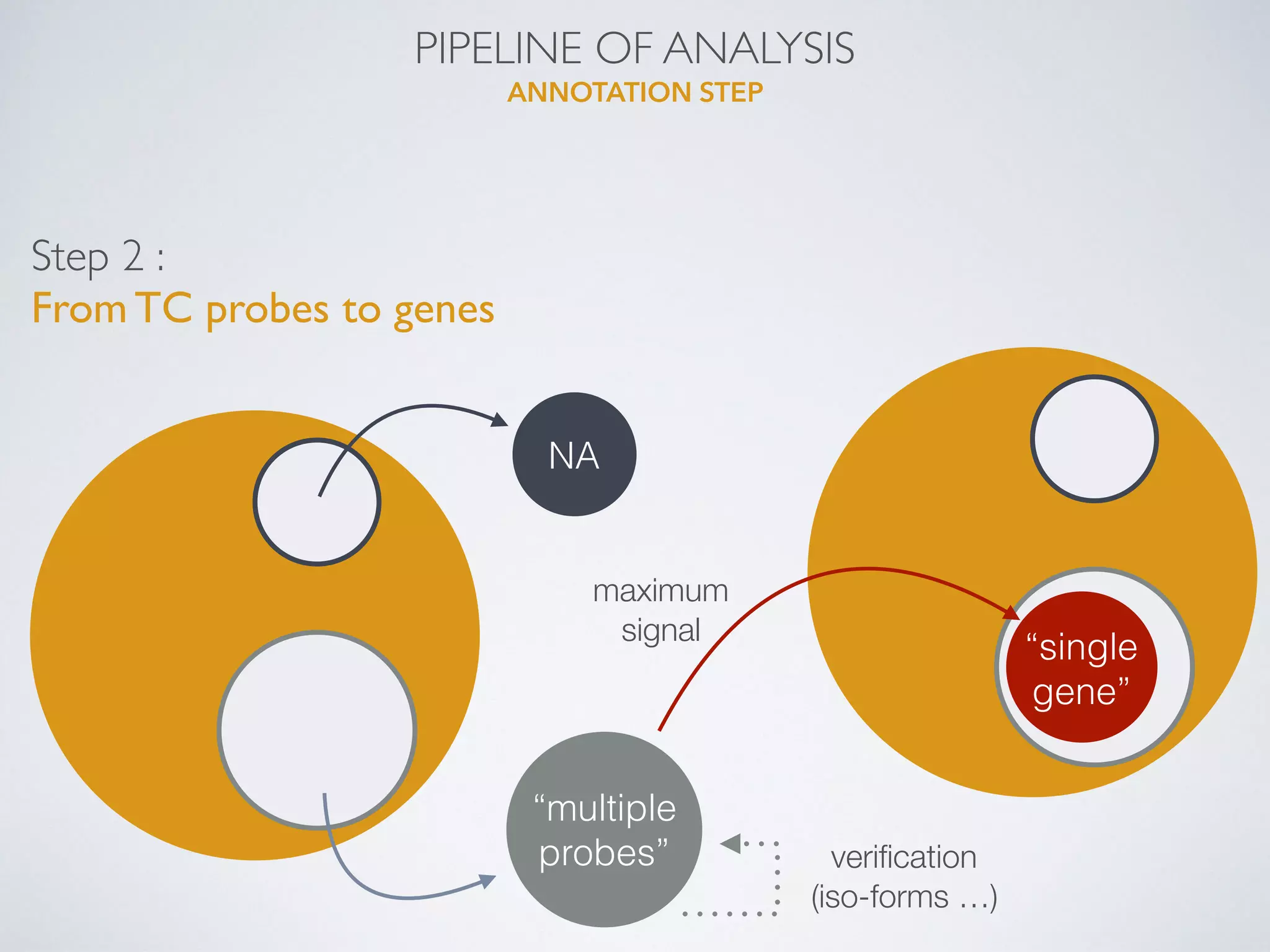 General Pipeline Of Transcriptomics Analysis Pdf Computer Software And Applications Computing