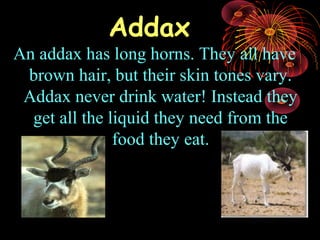 General ppt general purpose | PPT