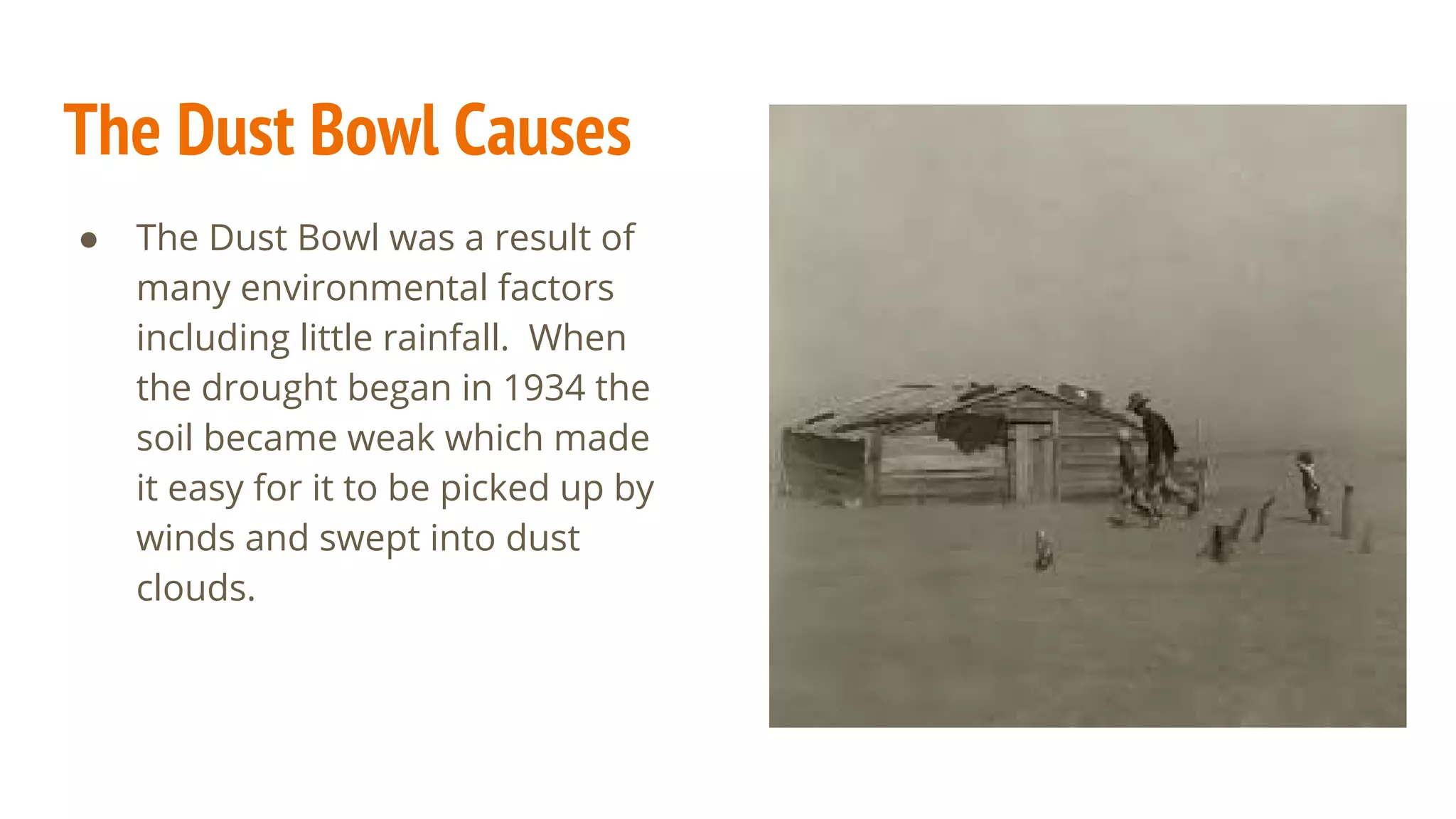 The Dust Bowl | PDF